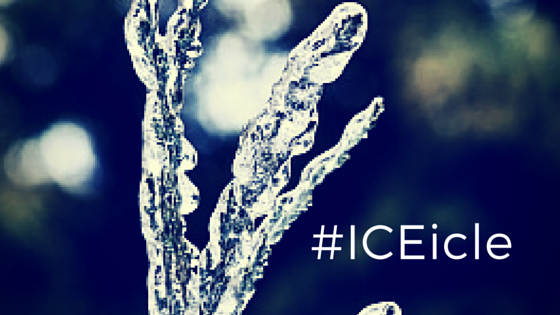 ICEicle – ICE Blog